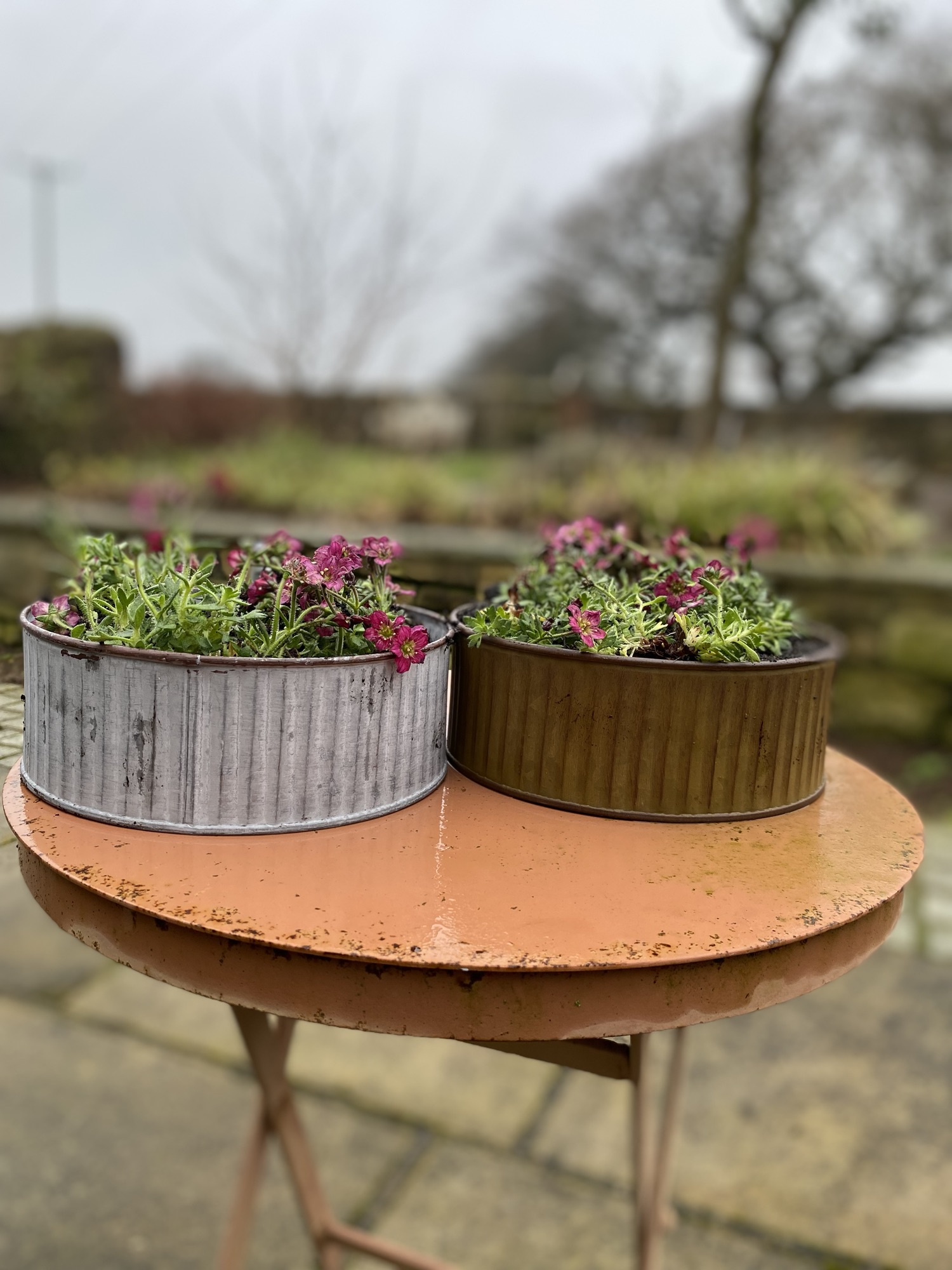 Low planter -( lattice )zinc – Pop and Flo