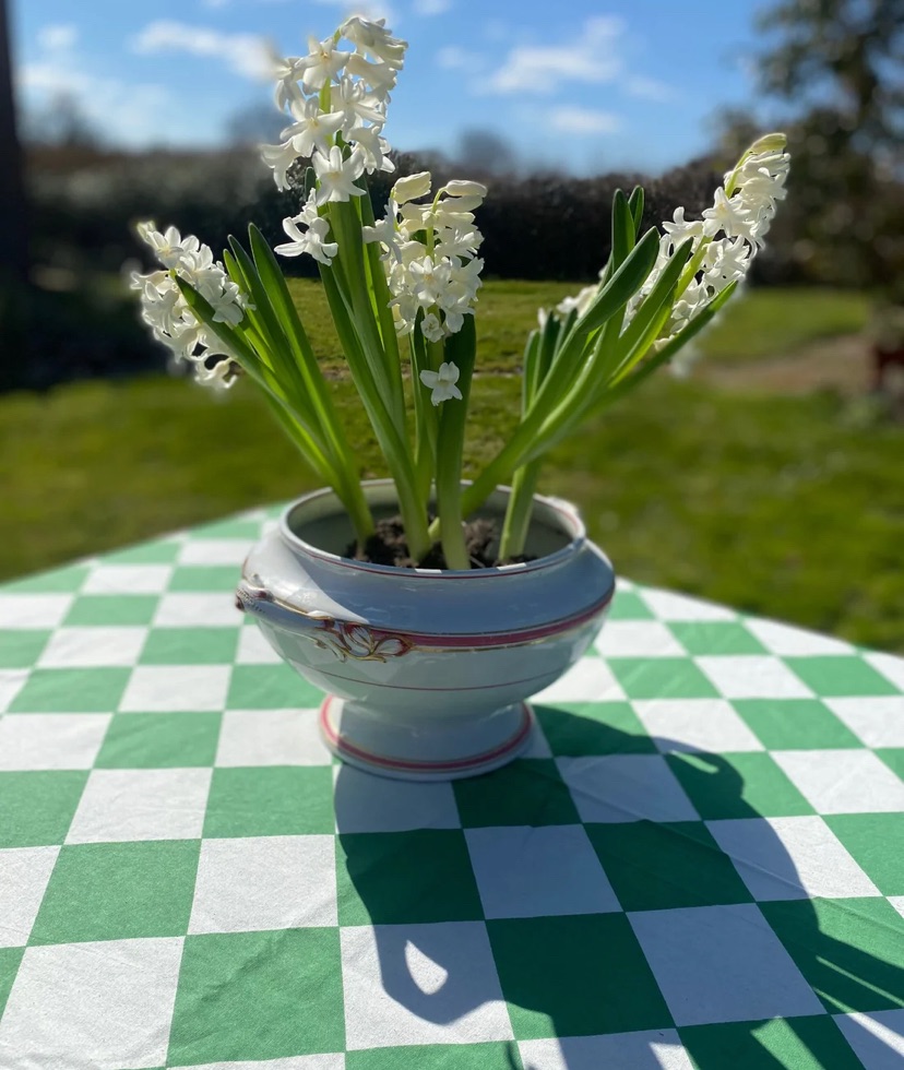 Green Harlequin table cloth – Pop and Flo